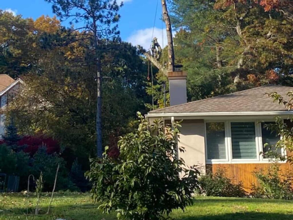 Landscaping Mulch - LUCA TREE SERVICE & LANDSCAPING INC